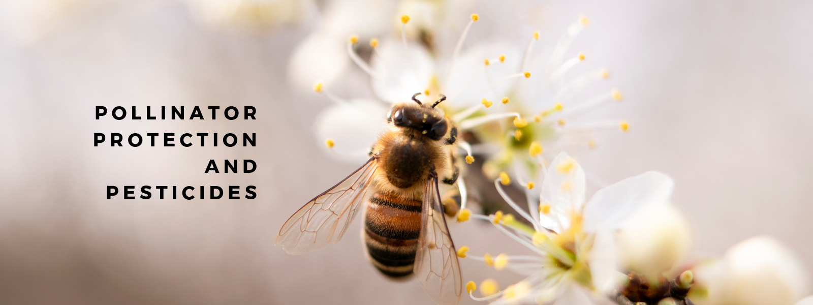 National Pesticide Information Center - Home Page