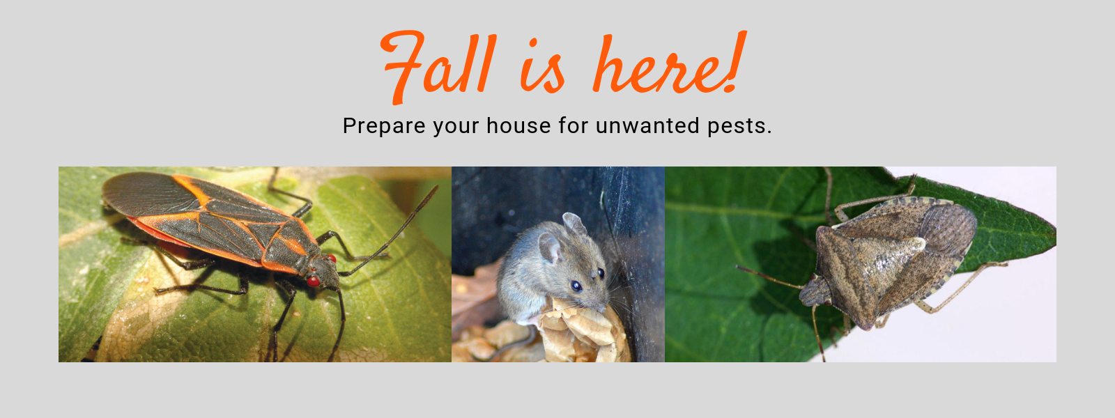 National Pesticide Information Center - Home Page