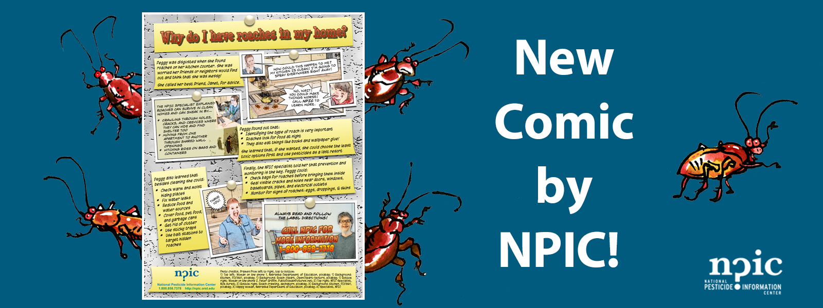 National Pesticide Information Center - Home Page