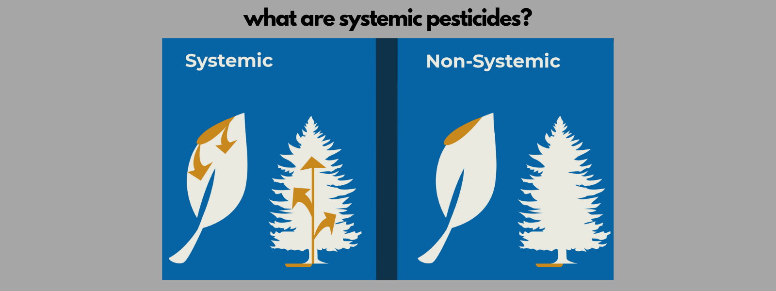 National Pesticide Information Center - Home Page